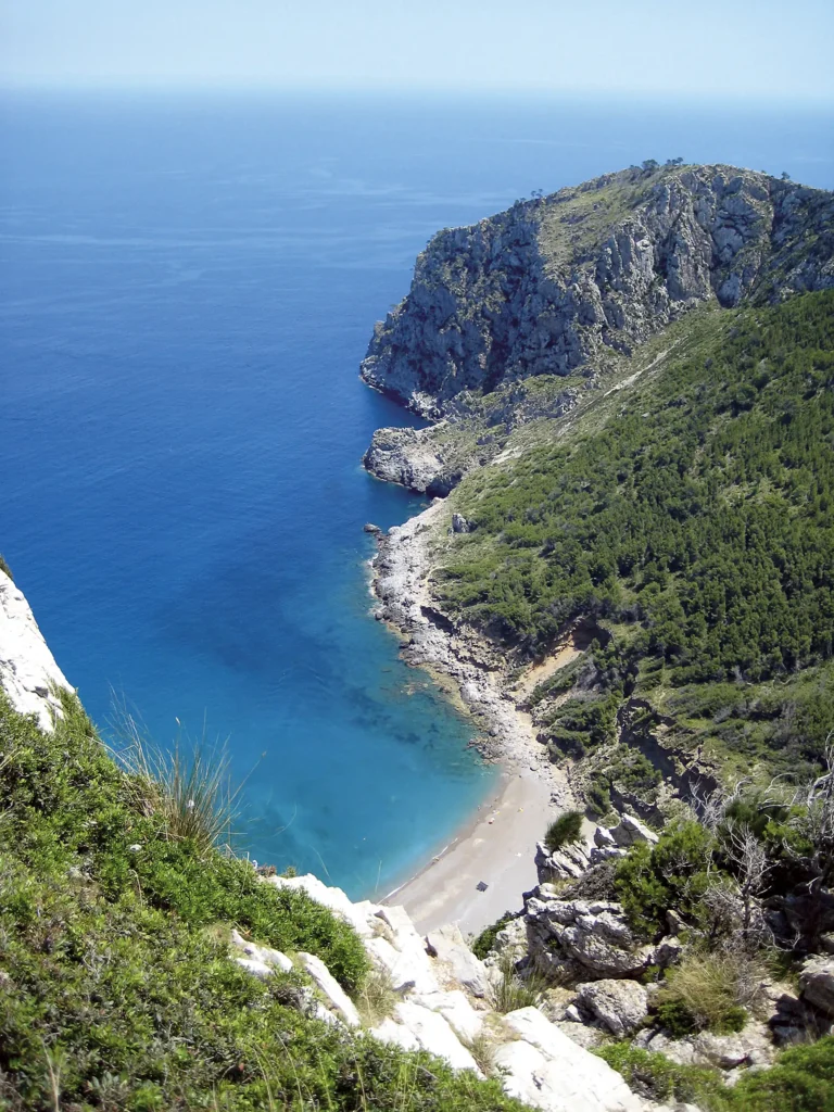 Coll Baix Mallorca: guía para visitar esta cala salvaje de Alcúdia