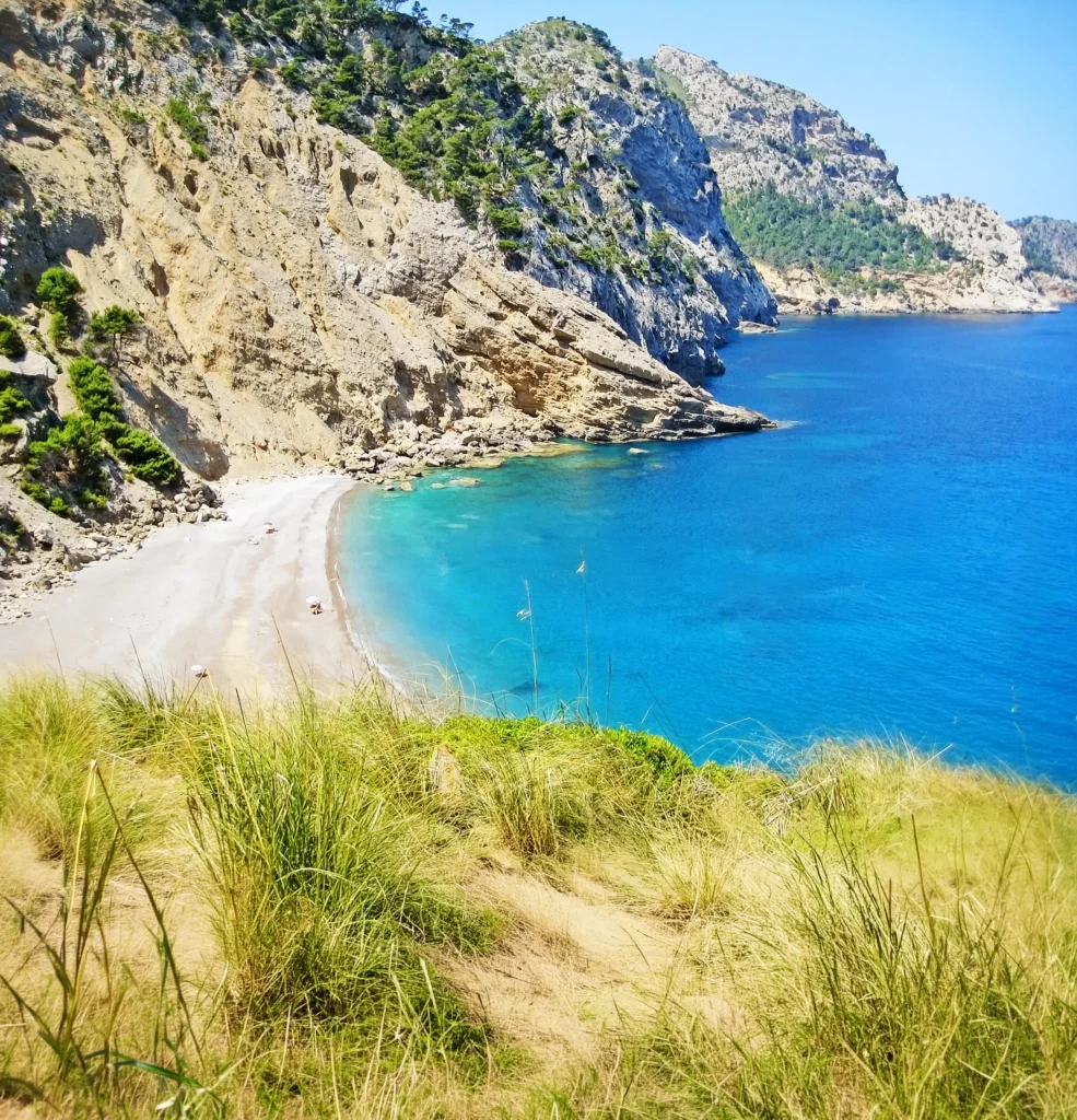 Coll Baix Mallorca: guía para visitar esta cala salvaje de Alcúdia
